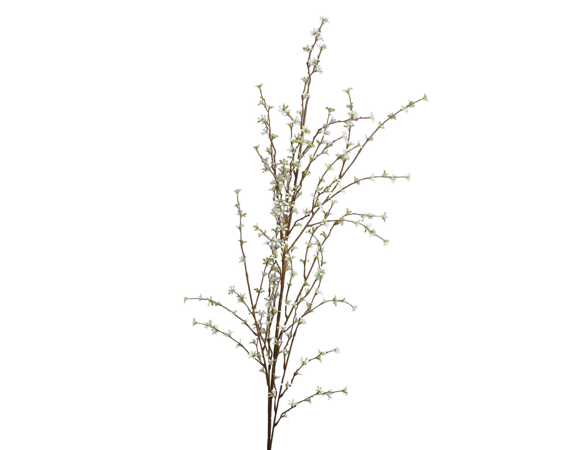 Branch Jasmine On Stem Branch White H.142Cm - Jones Garden Centre