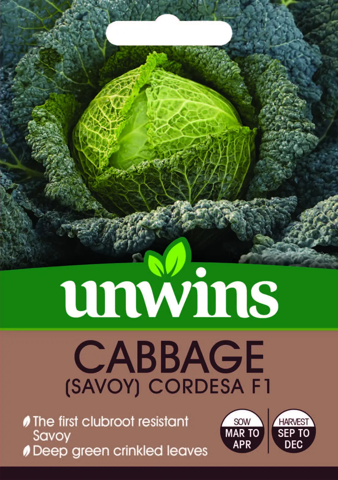 Cabbage (Savoy) Cordesa F1 - Jones Garden Centre