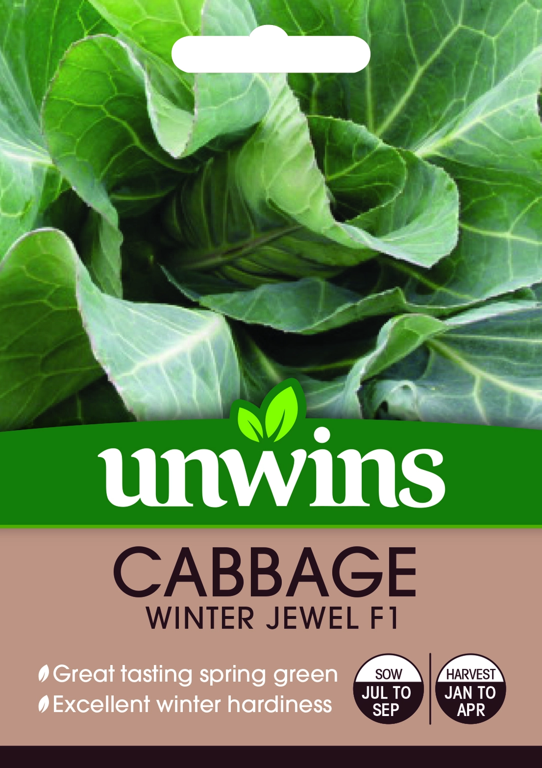 Cabbage (Spring Greens) Winter Jewel - Jones Garden Centre