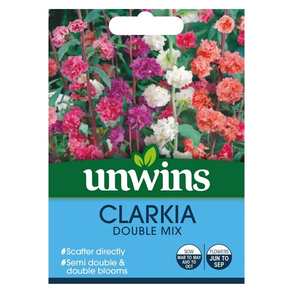 Clarkia Double Mix - Jones Garden Centre