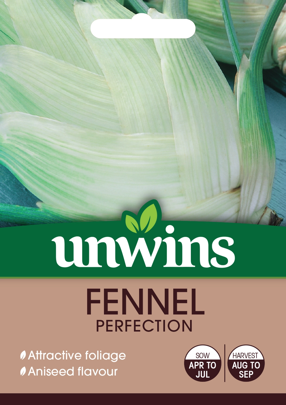 Fennel Perfection - Jones Garden Centre