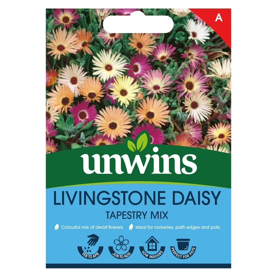 Livingstone Daisy Tapestry Mix - Jones Garden Centre