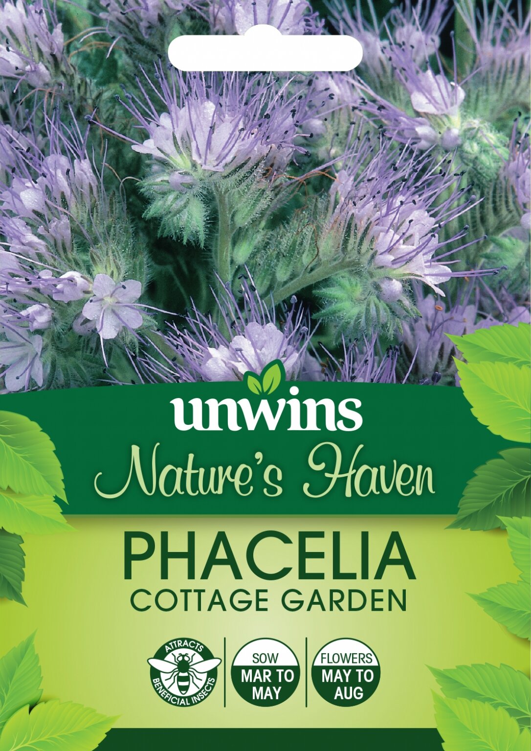 NH Phacelia Cottage Garden - Jones Garden Centre