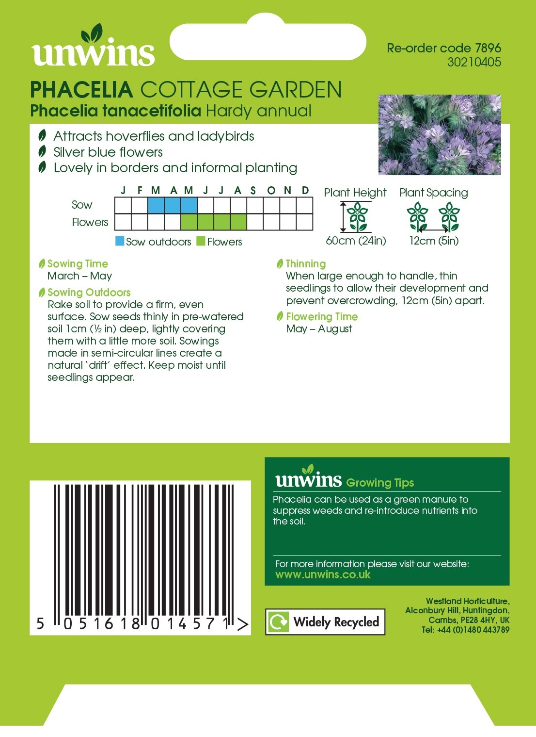 NH Phacelia Cottage Garden - Jones Garden Centre