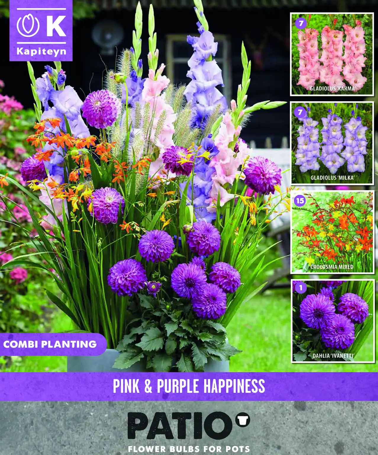 Patio Pink & Purple Happiness - Jones Garden Centre