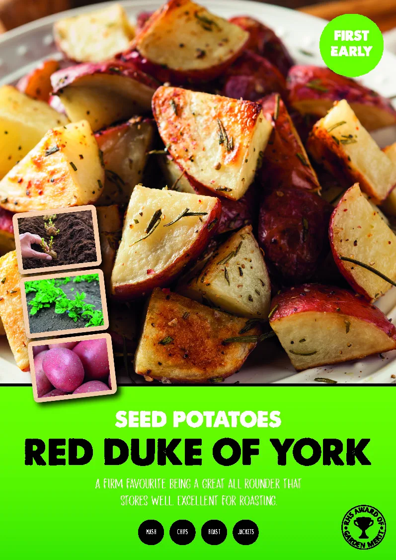 Red Duke Of York 2kg - Jones Garden Centre
