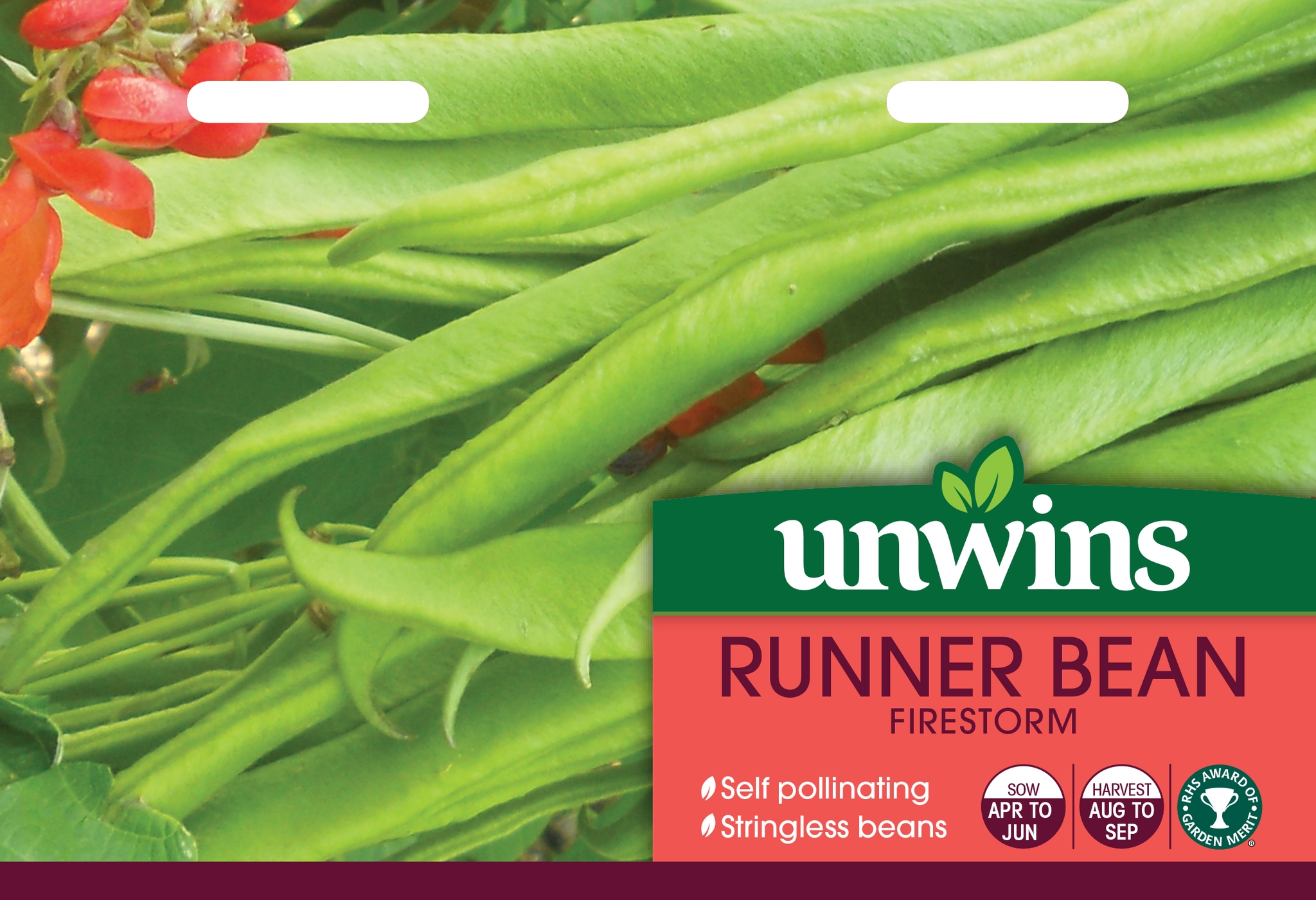 Runner Bean Firestorm - Jones Garden Centre