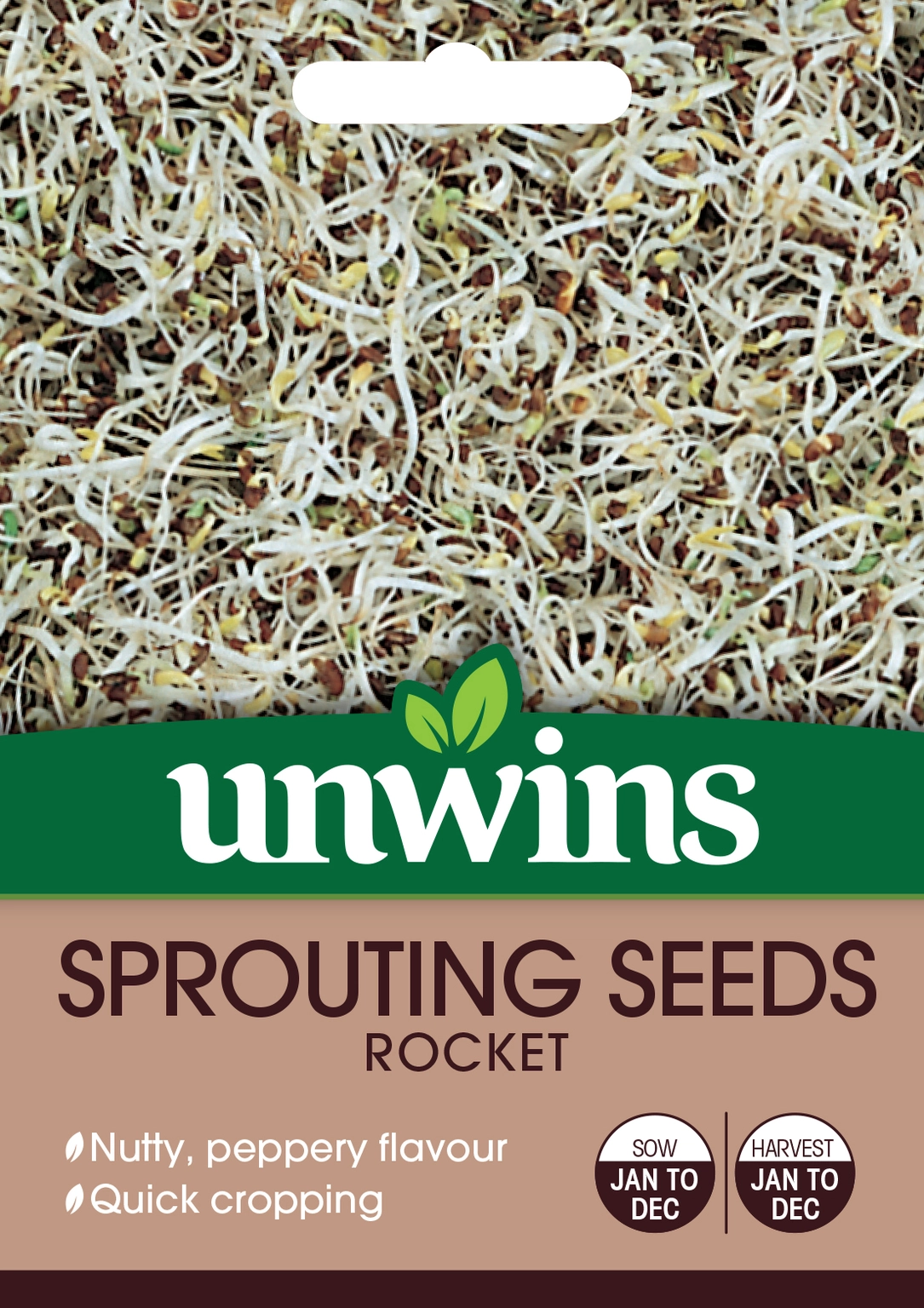 Sprouting Seeds Rocket - Jones Garden Centre