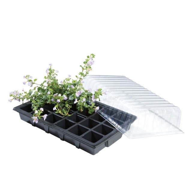 Standard Propagator - Jones Garden Centre