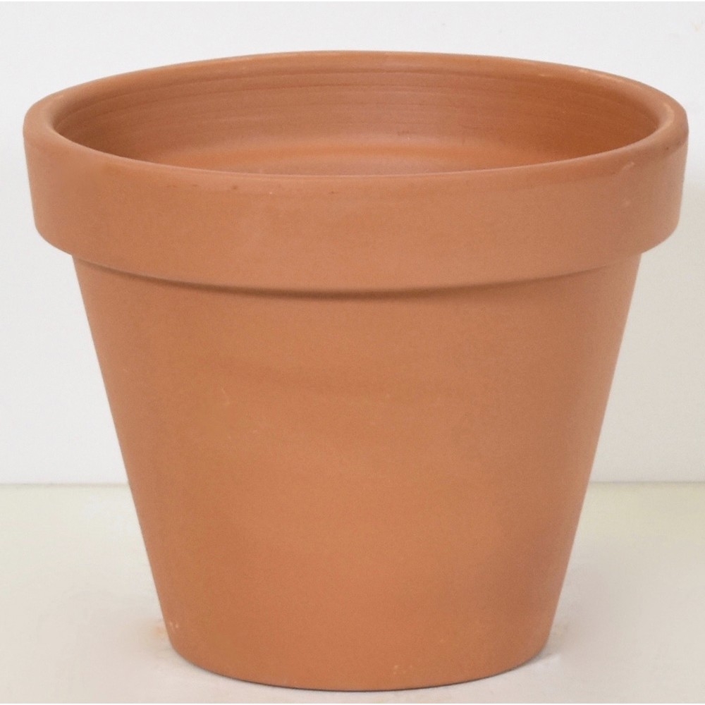 Standard Terra Pot 21Cm - Jones Garden Centre