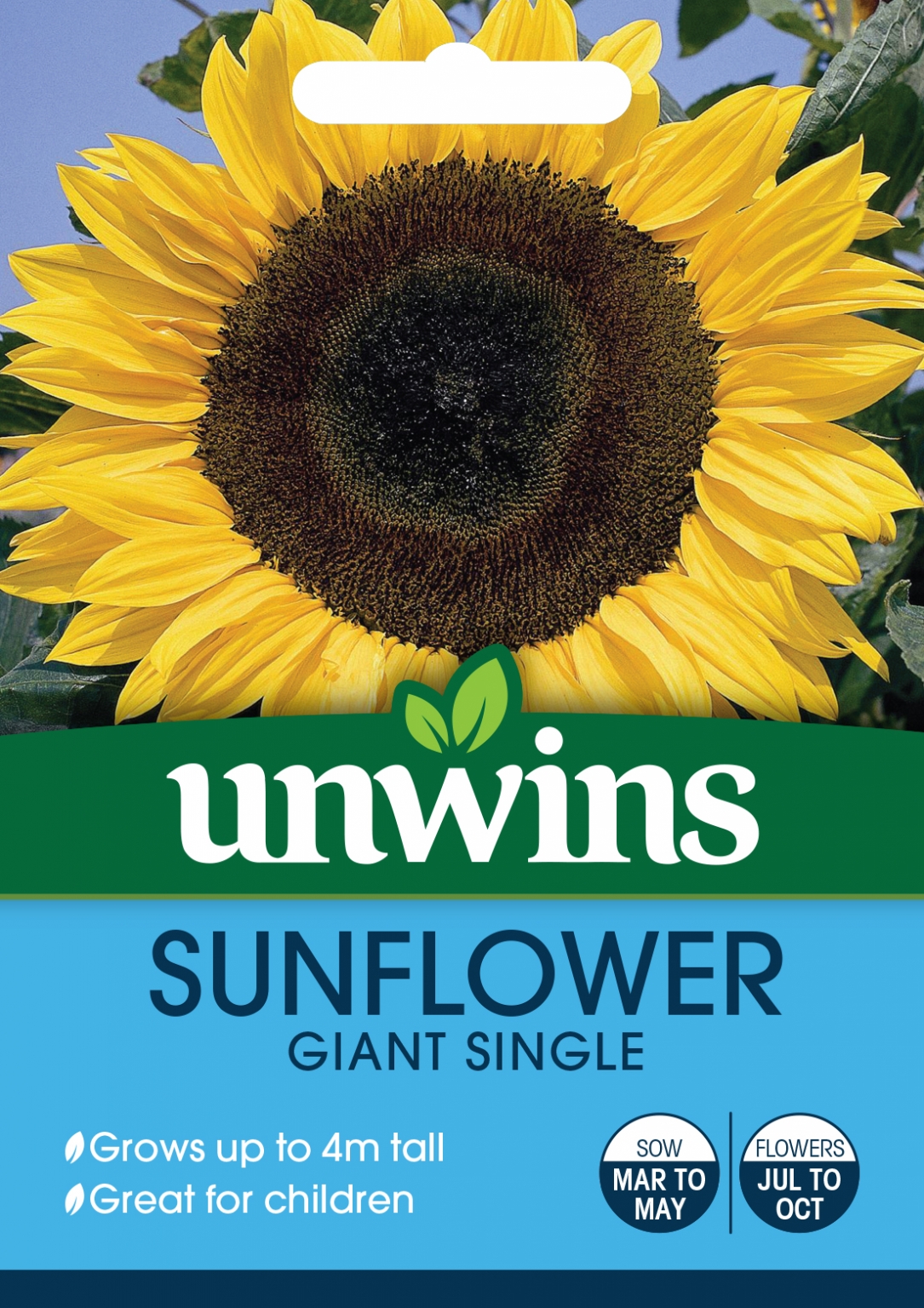Sunflower Giant Single - Jones Garden Centre