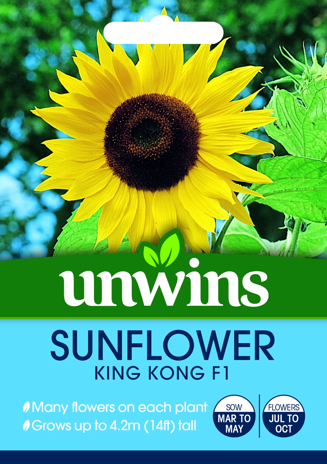 Sunflower King Kong F1 - Jones Garden Centre