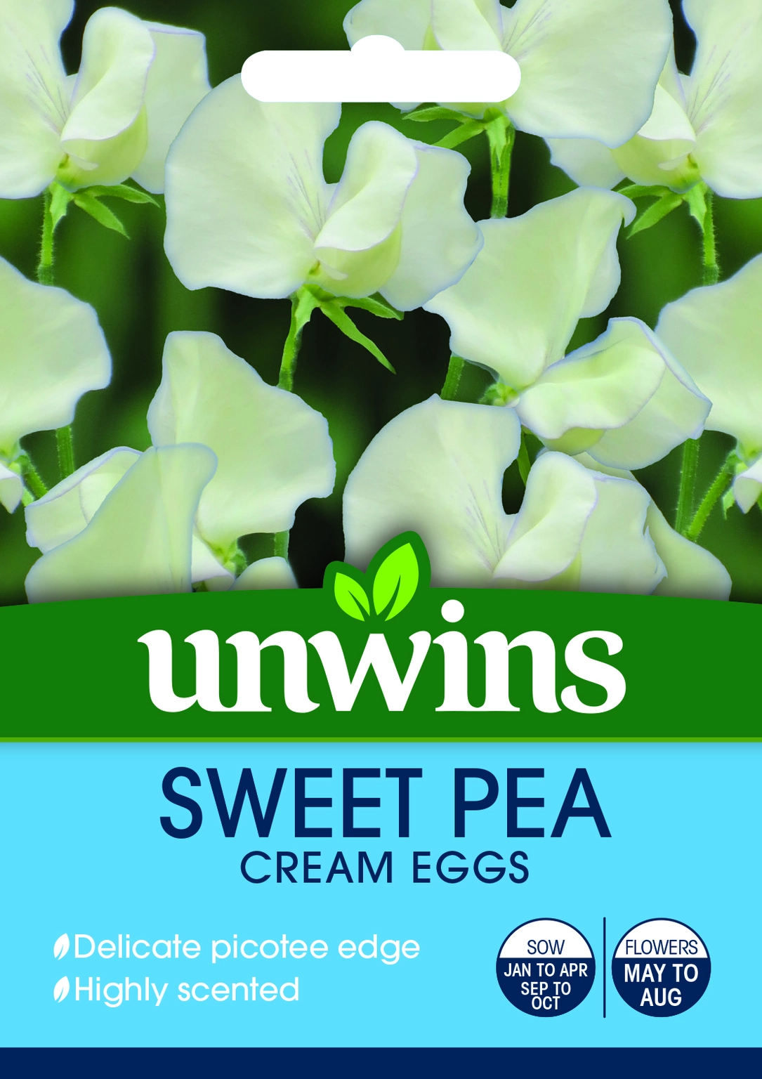 Sweet Pea Cream Eggs - Jones Garden Centre