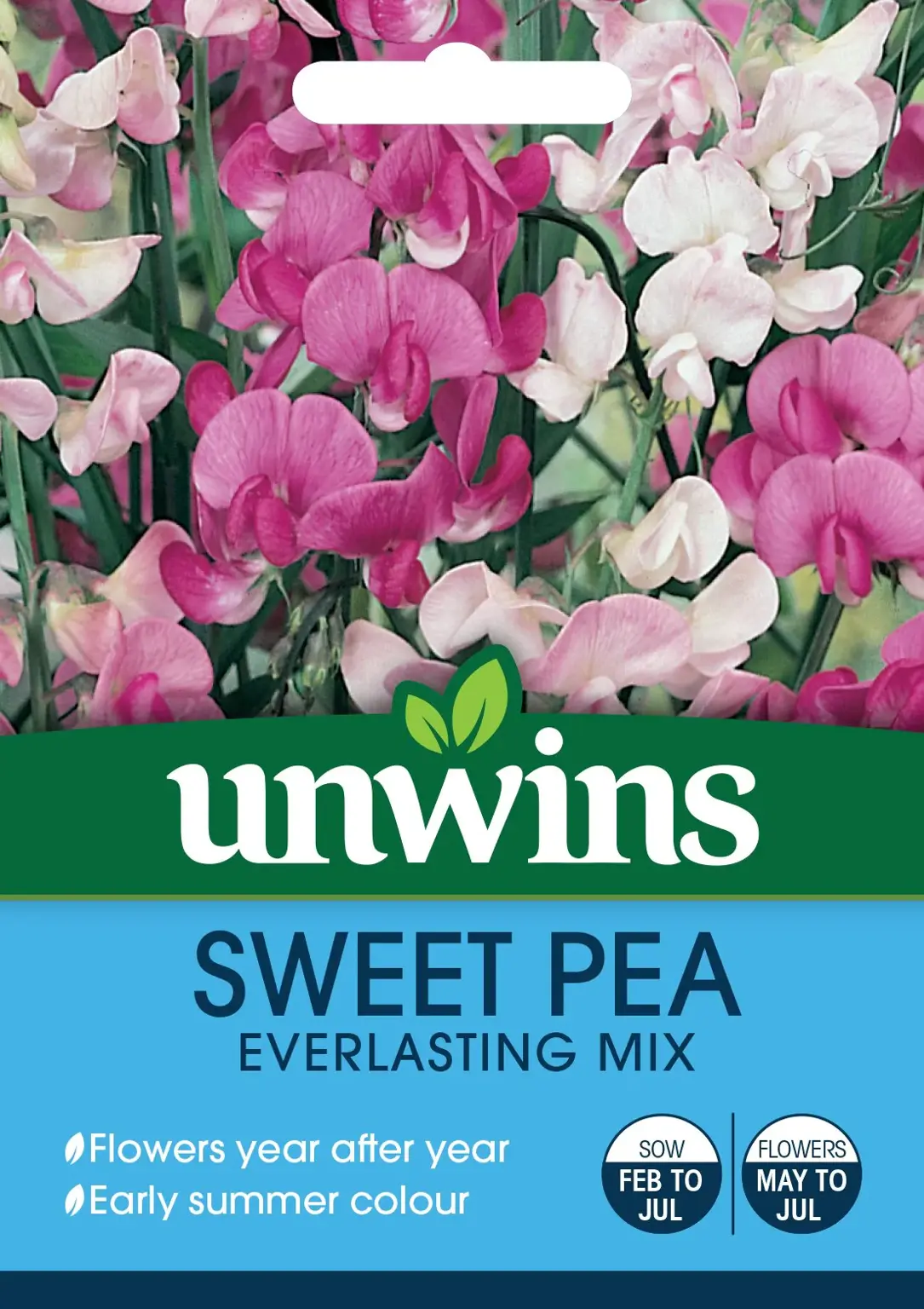 Sweet Pea Everlasting Mix - Jones Garden Centre