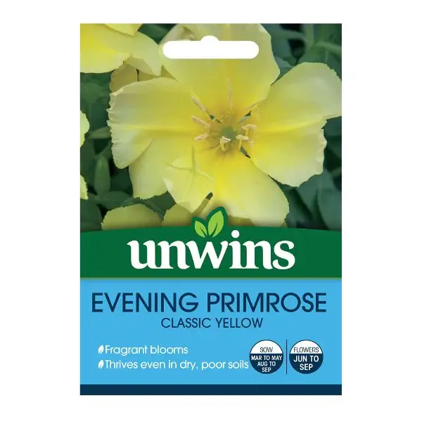 Wildflower Evening Primrose - Jones Garden Centre