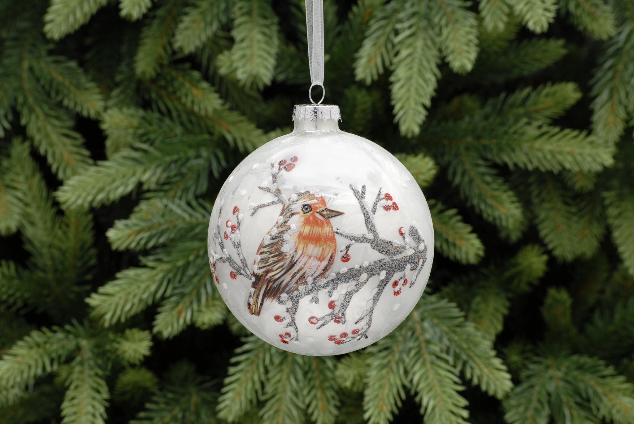 WM 10cm frosted white with robin design glass ball - Jones Garden Centre